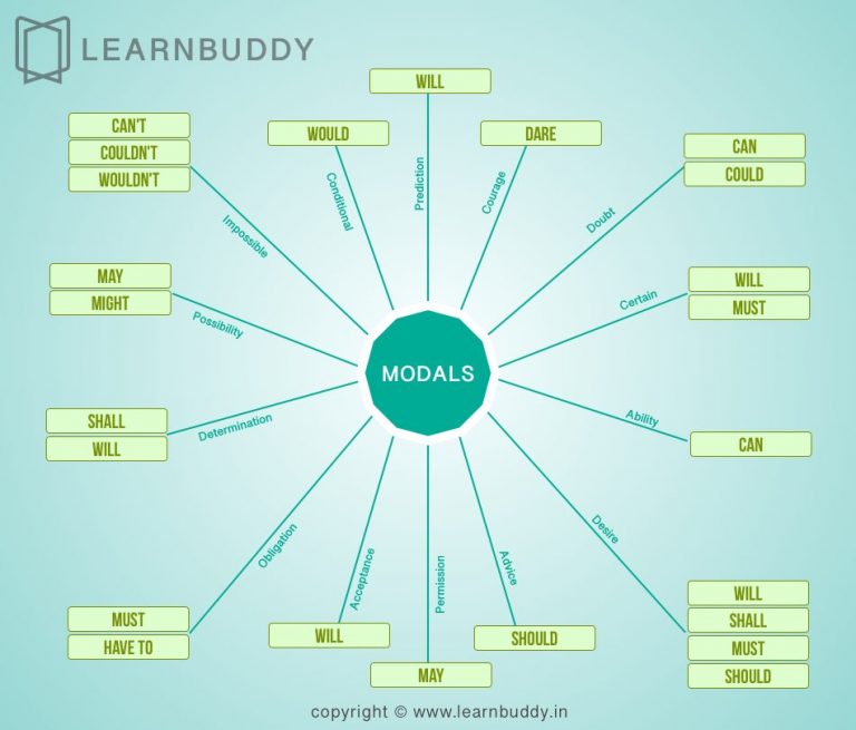 Modals Practice Worksheets for Class 1 – Learnbuddy.in